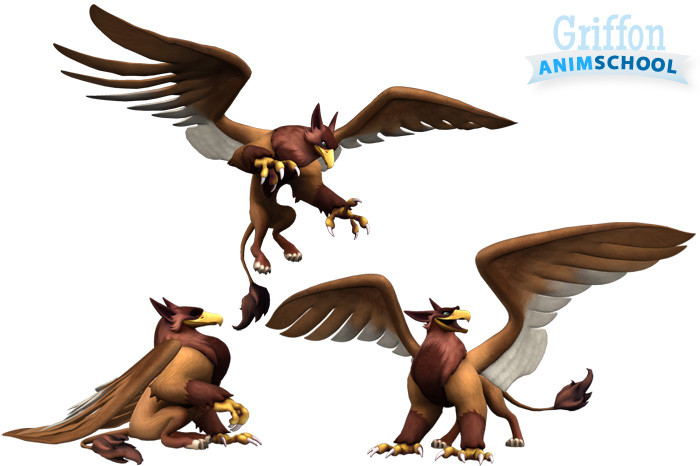 Davoud Ashrafi - Griffon Rig