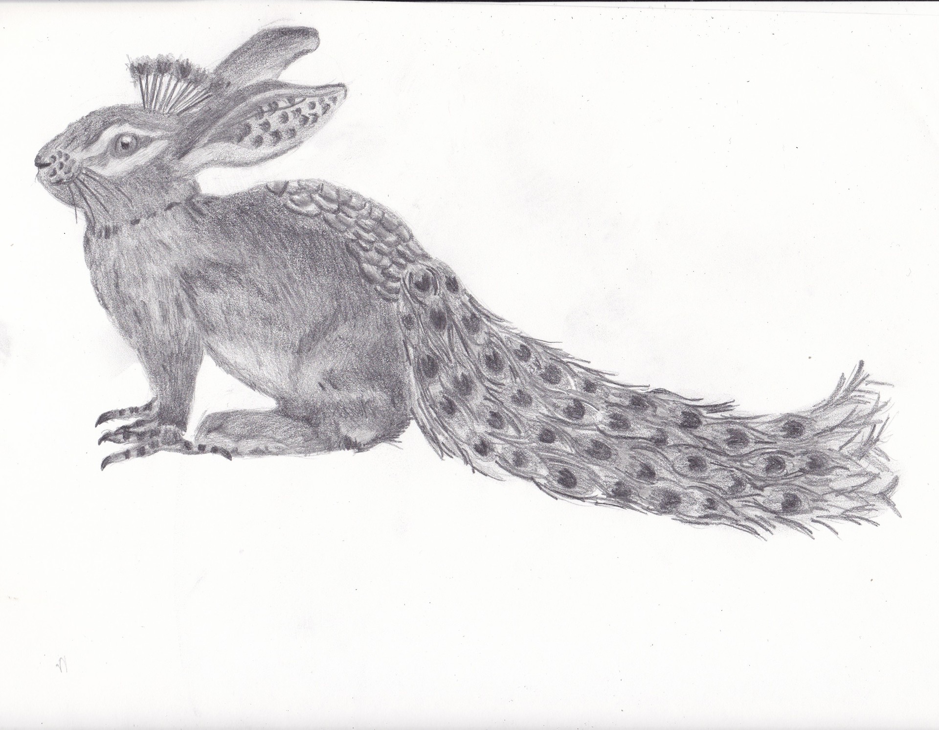 ArtStation - Peacock Bunny