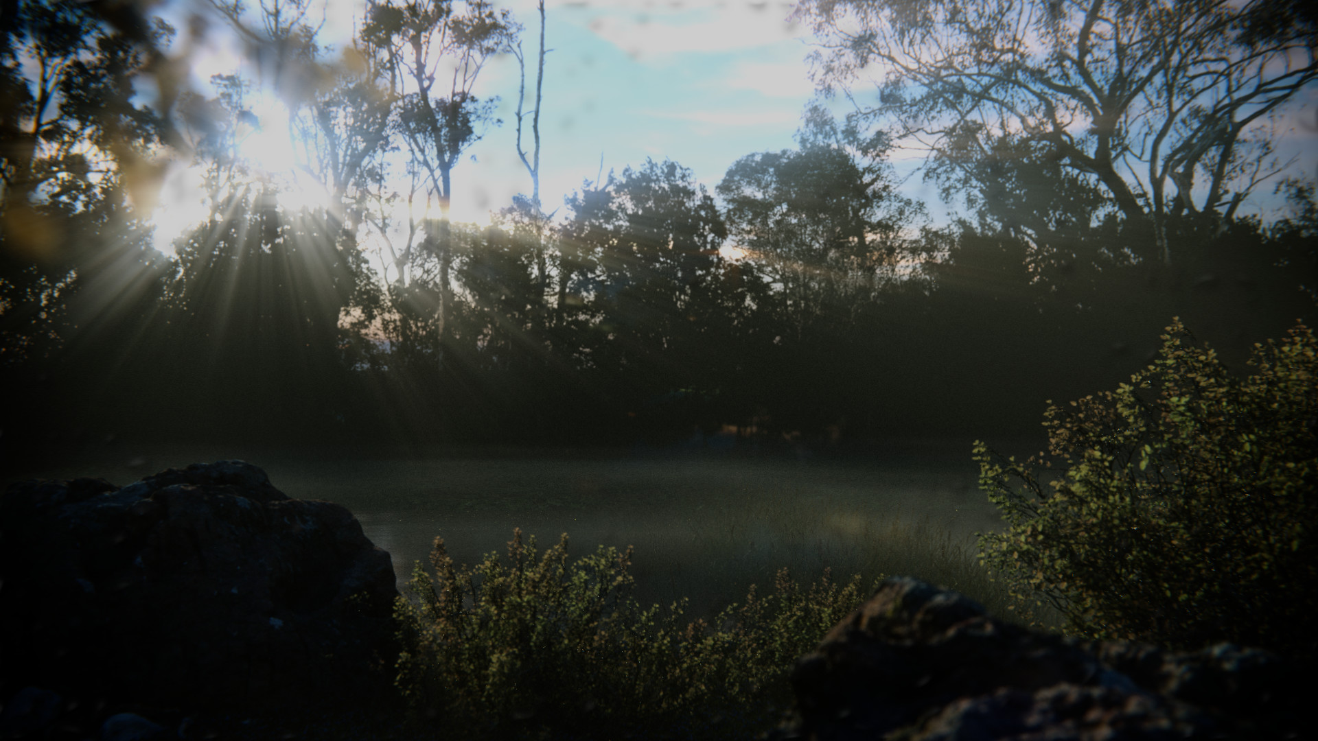 ArtStation - Foggy Swamp