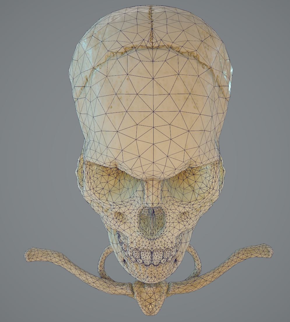 Sergii Goriachiy - Facial Female Anatomy