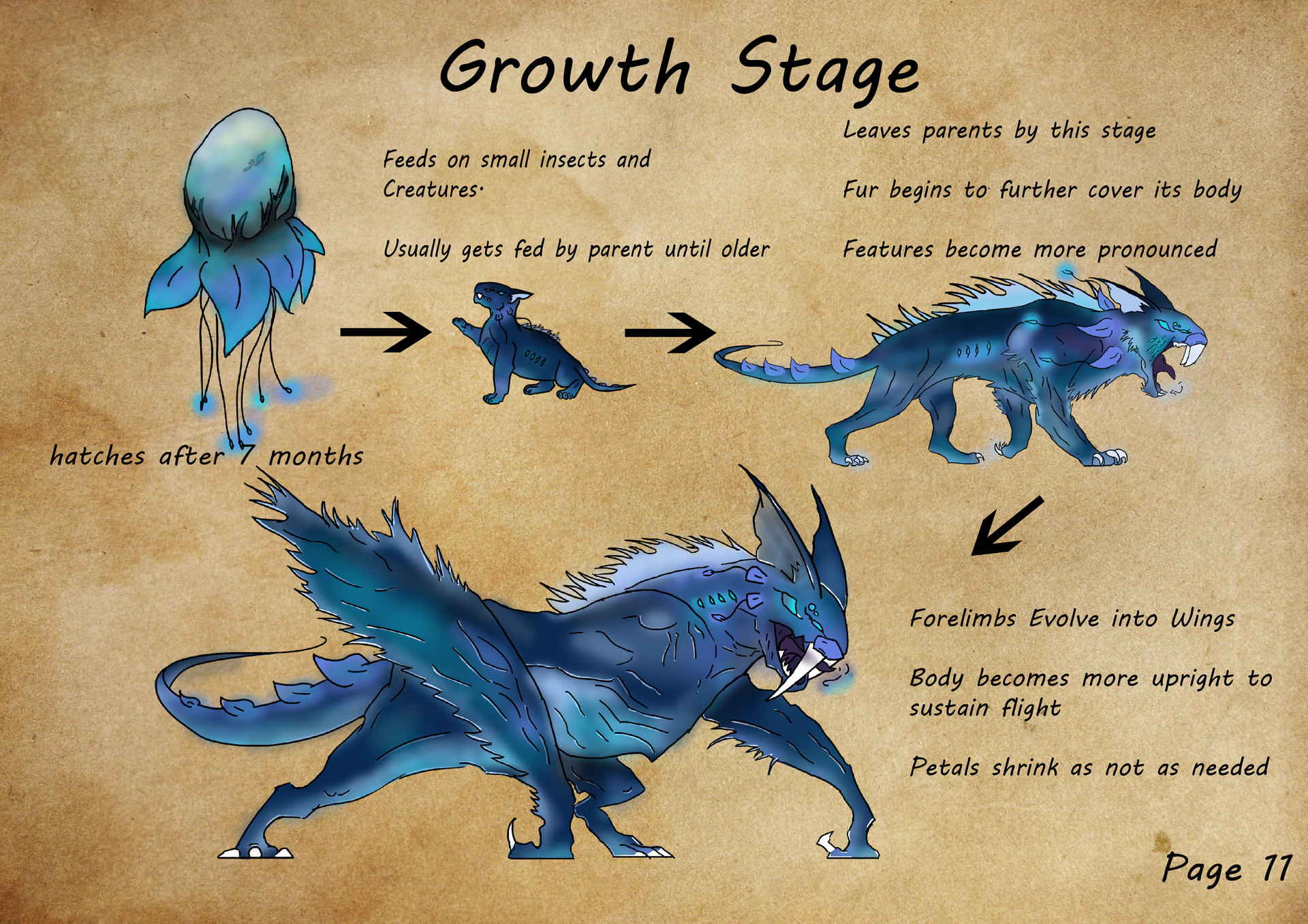 ArtStation - Noctis Venator