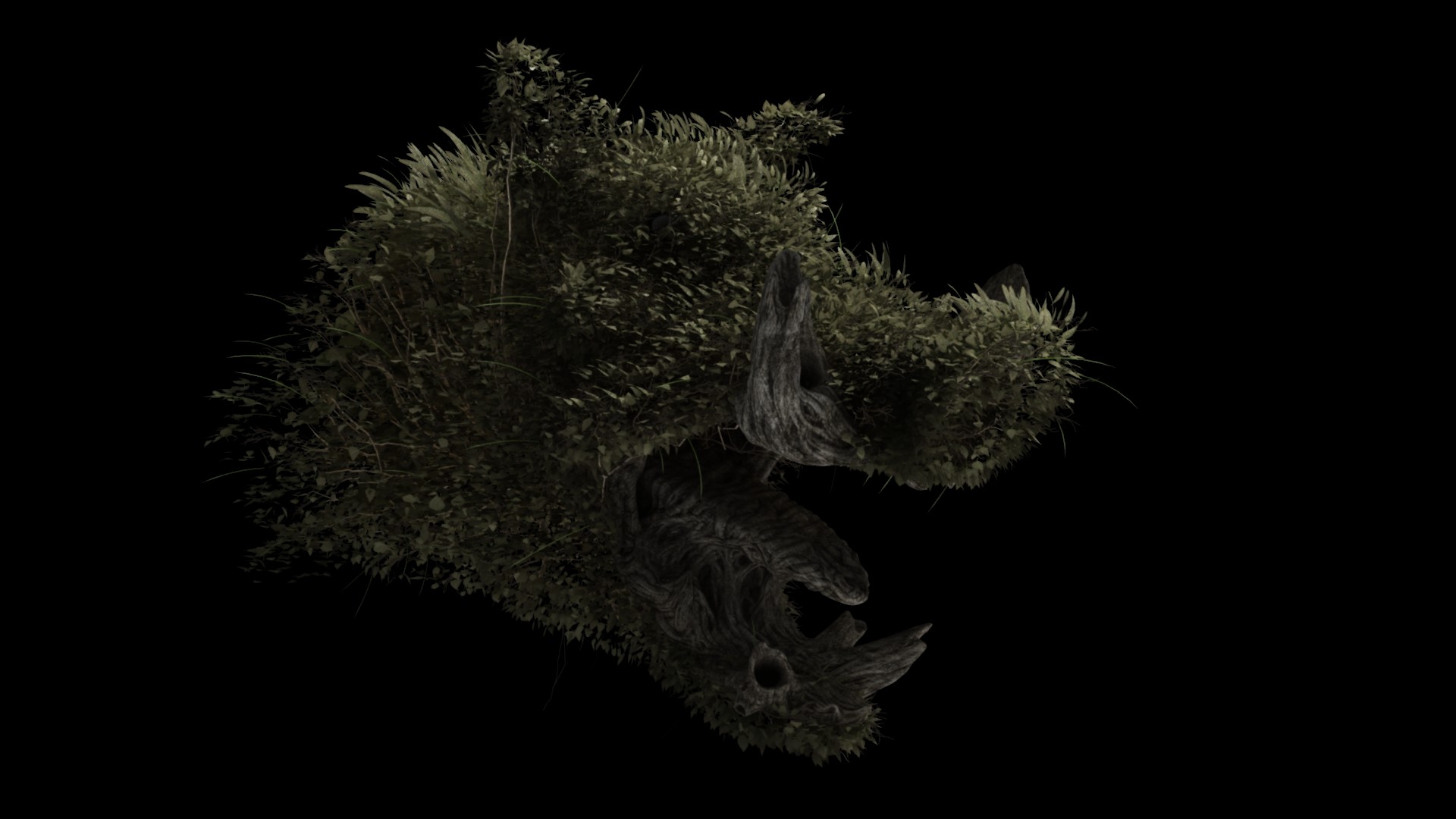 Richard Bridge - Warthog