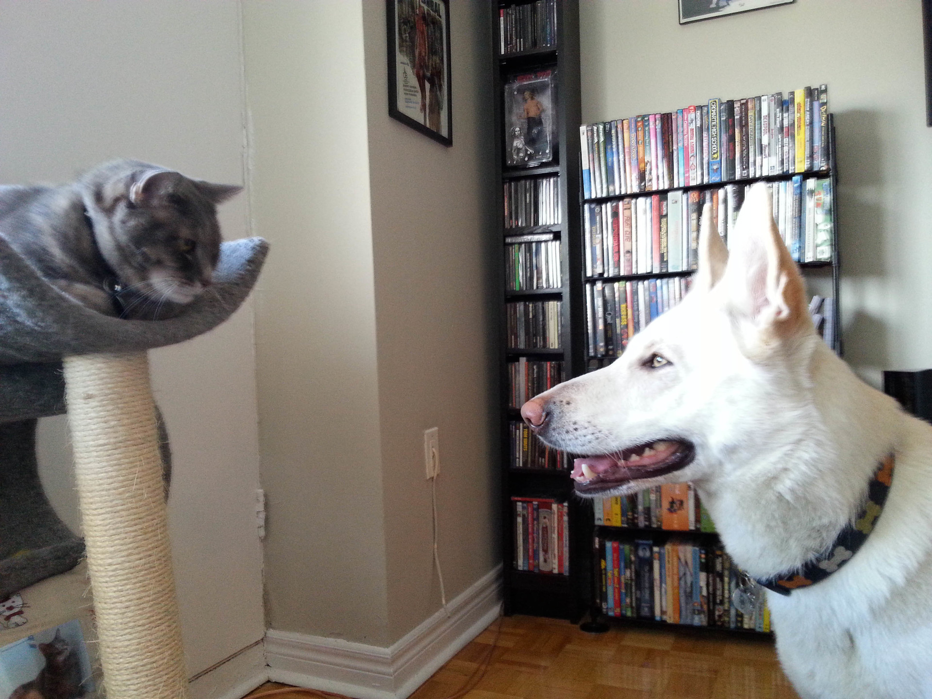 Peter Pienkowski - Some Stupid Phone game I made to try out Unity, fun ...