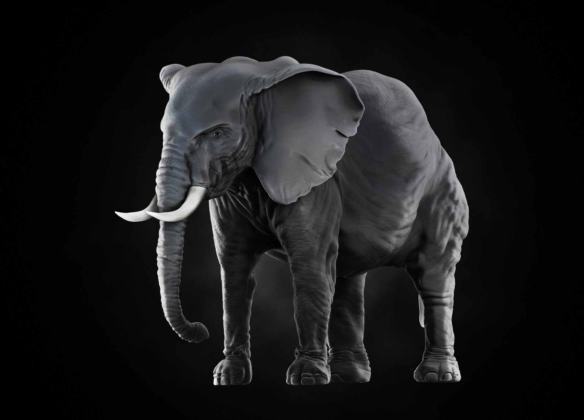 ArtStation - Elephant sculpt