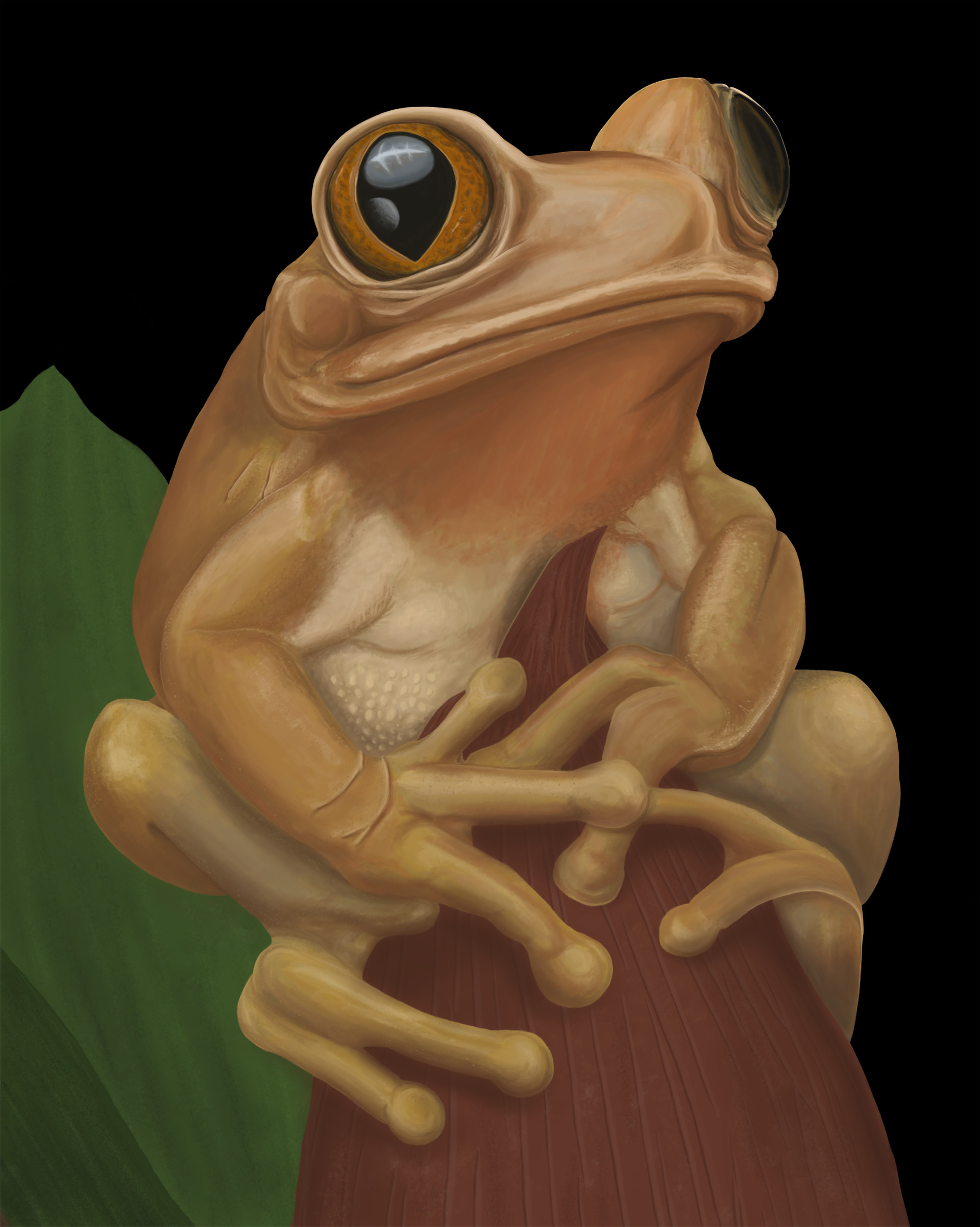 ArtStation - Frog on a leaf
