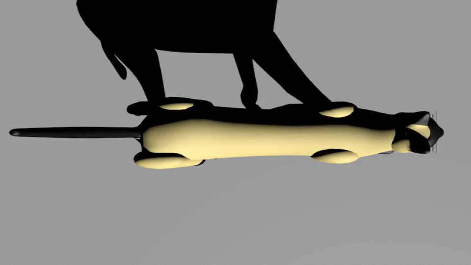 cat walking animation 3d