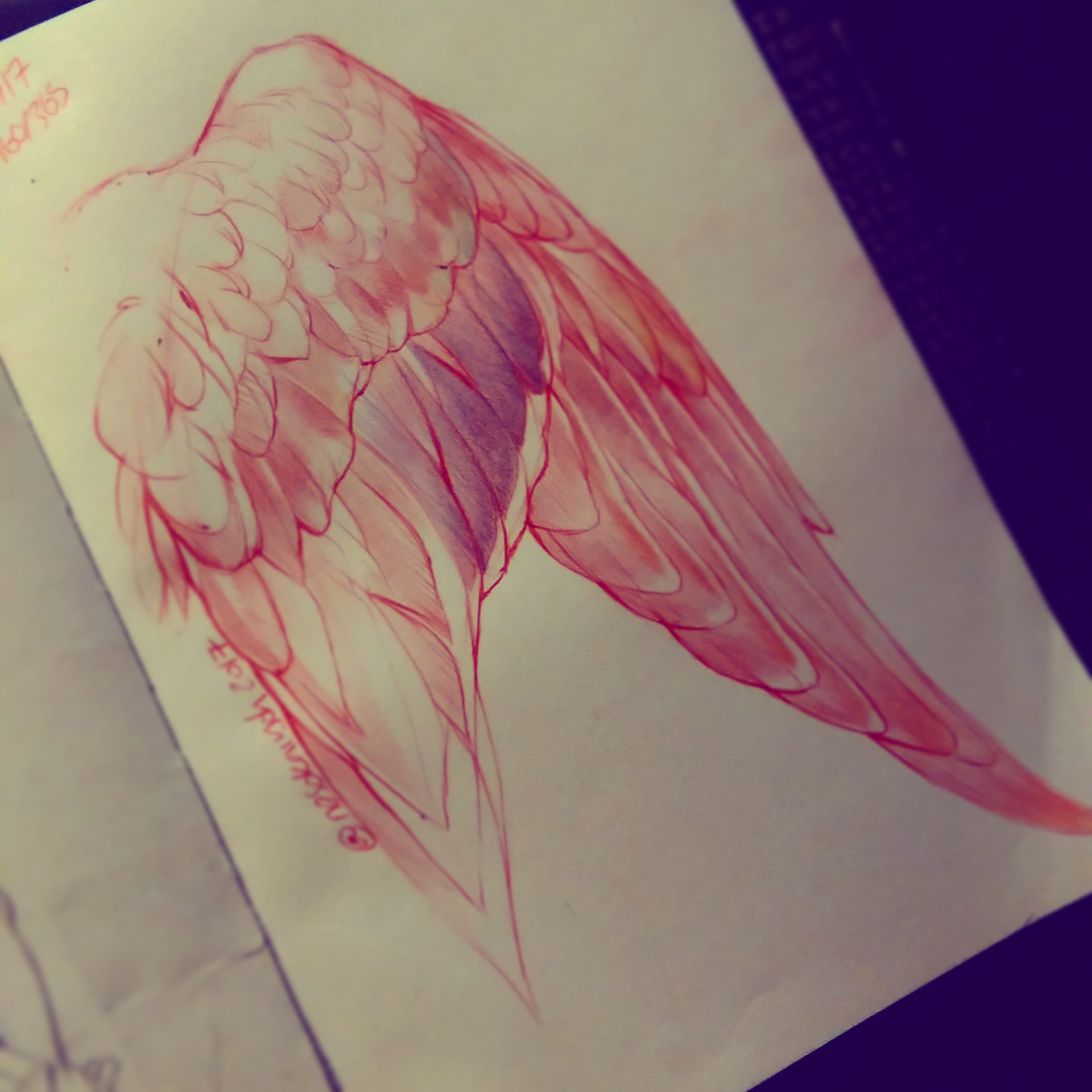 ArtStation - Wing Studies1