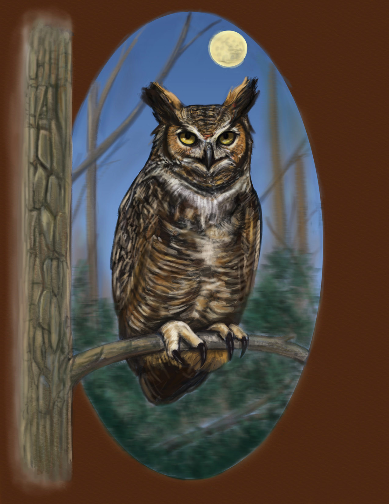 ArtStation - Owl Study