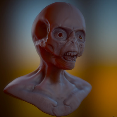 Stephen Jeal - Portfolio