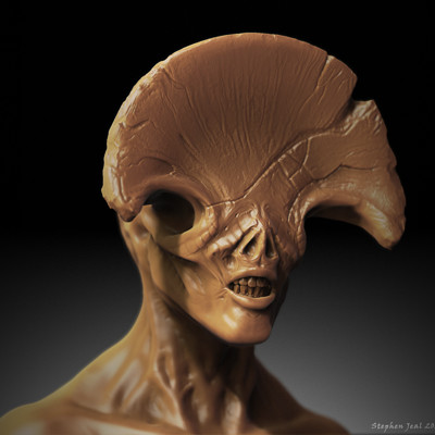 Stephen Jeal - Portfolio