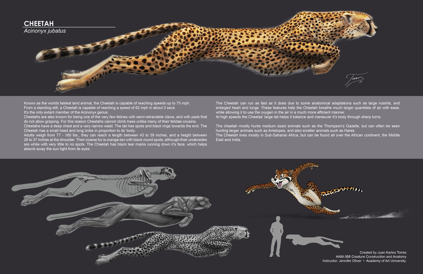 ArtStation - Cheetah