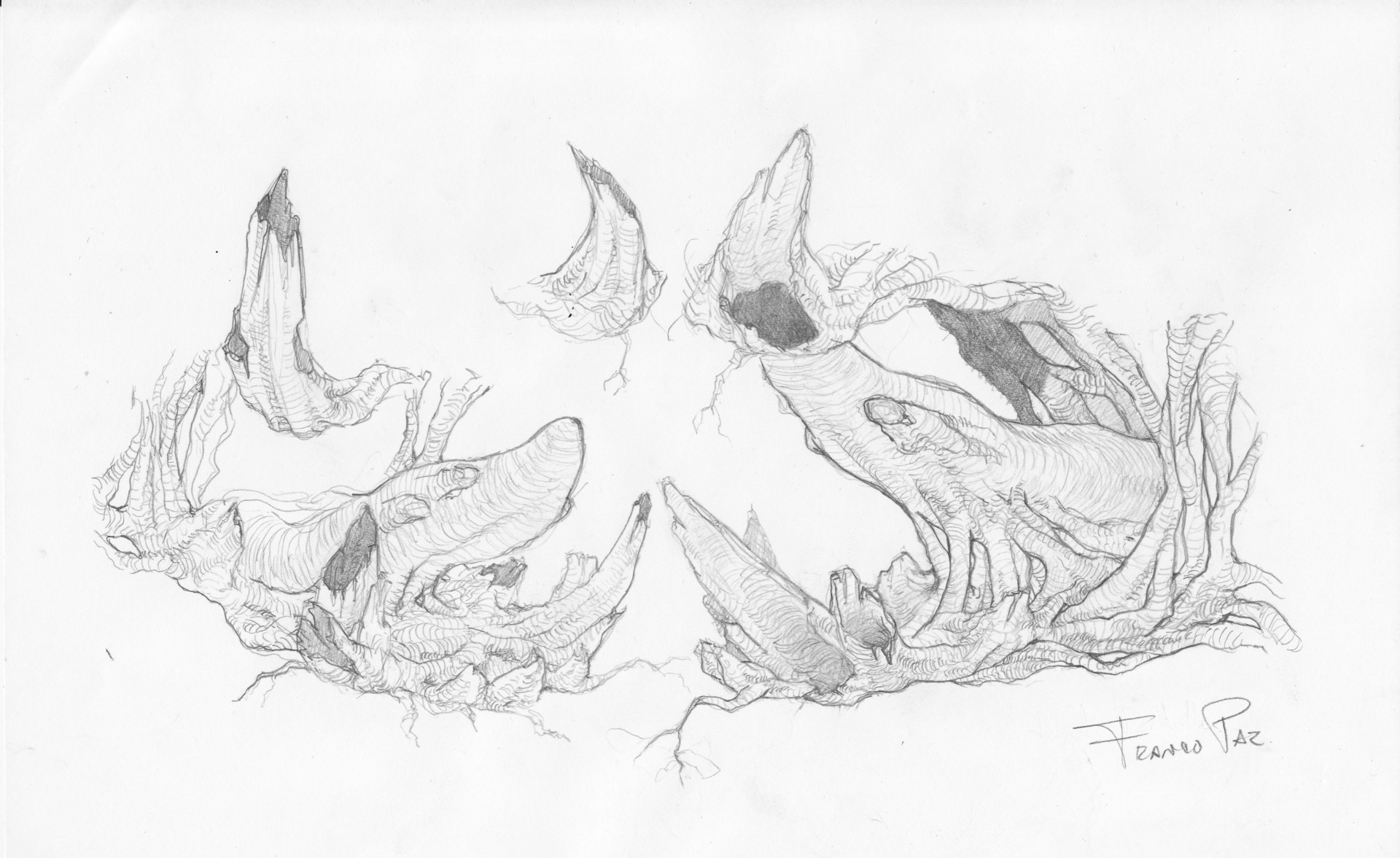 Richard Bridge - Warthog