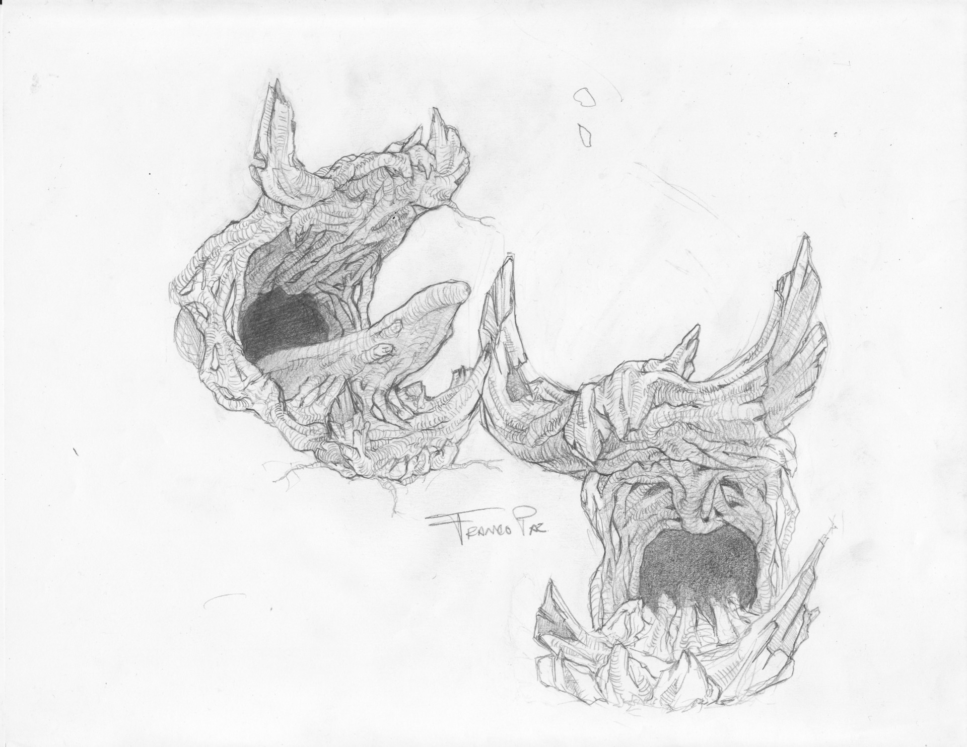 Richard Bridge - Warthog