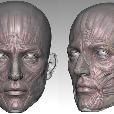 씨지범프 [CGBUMP]