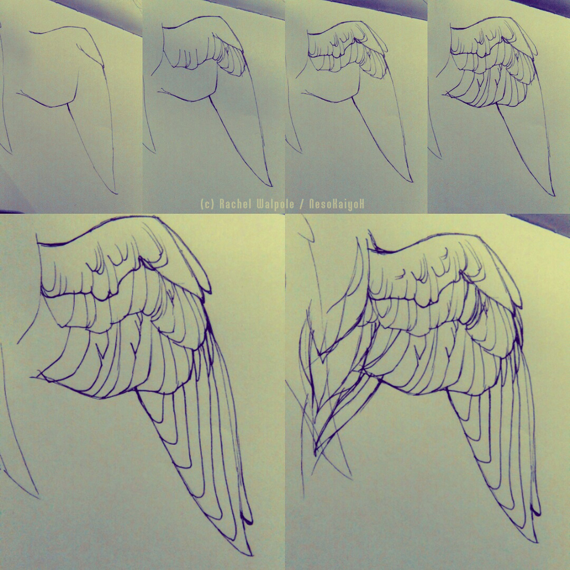 ArtStation - Wing Process Steps