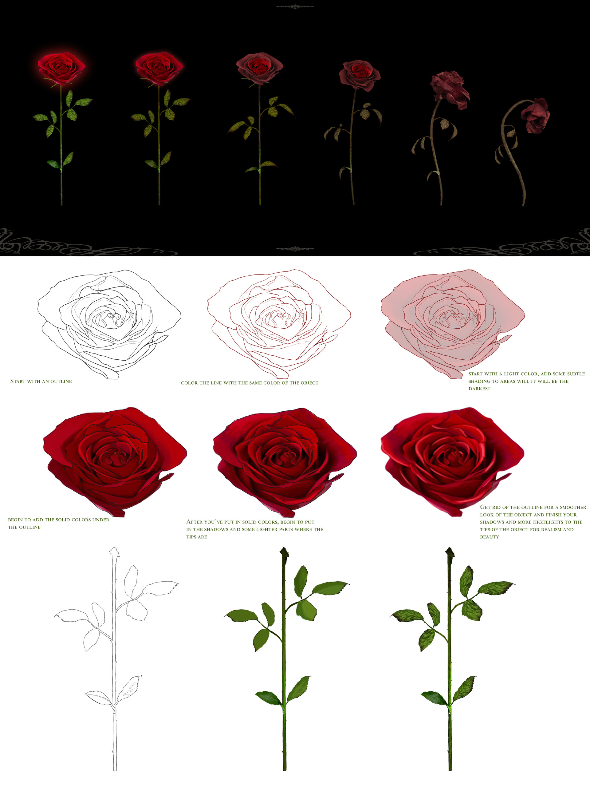 how to draw enchanted rose