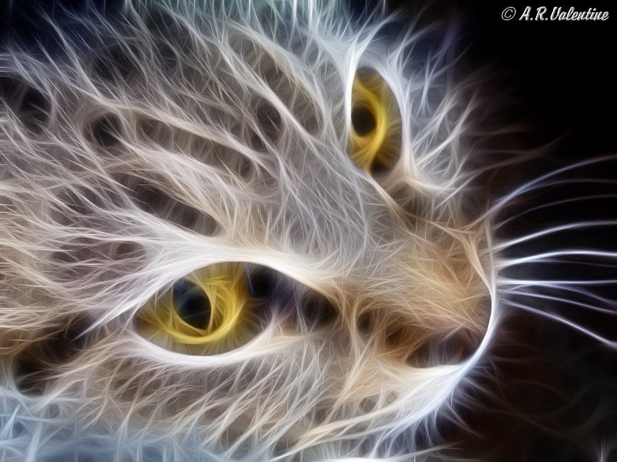 ArtStation - The Cat's Face