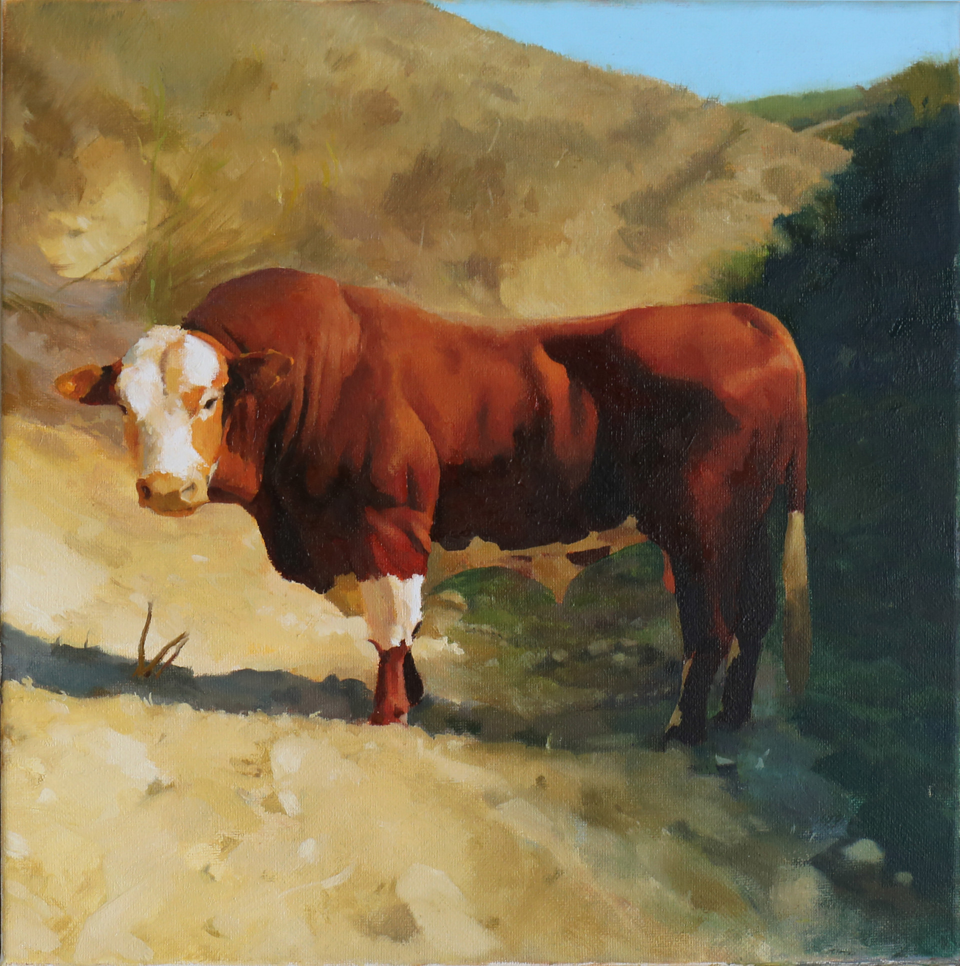 Elad Tibi - A bull