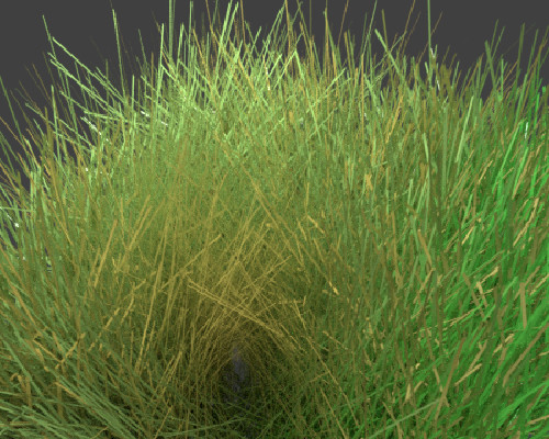 ArtStation - Grass_Test