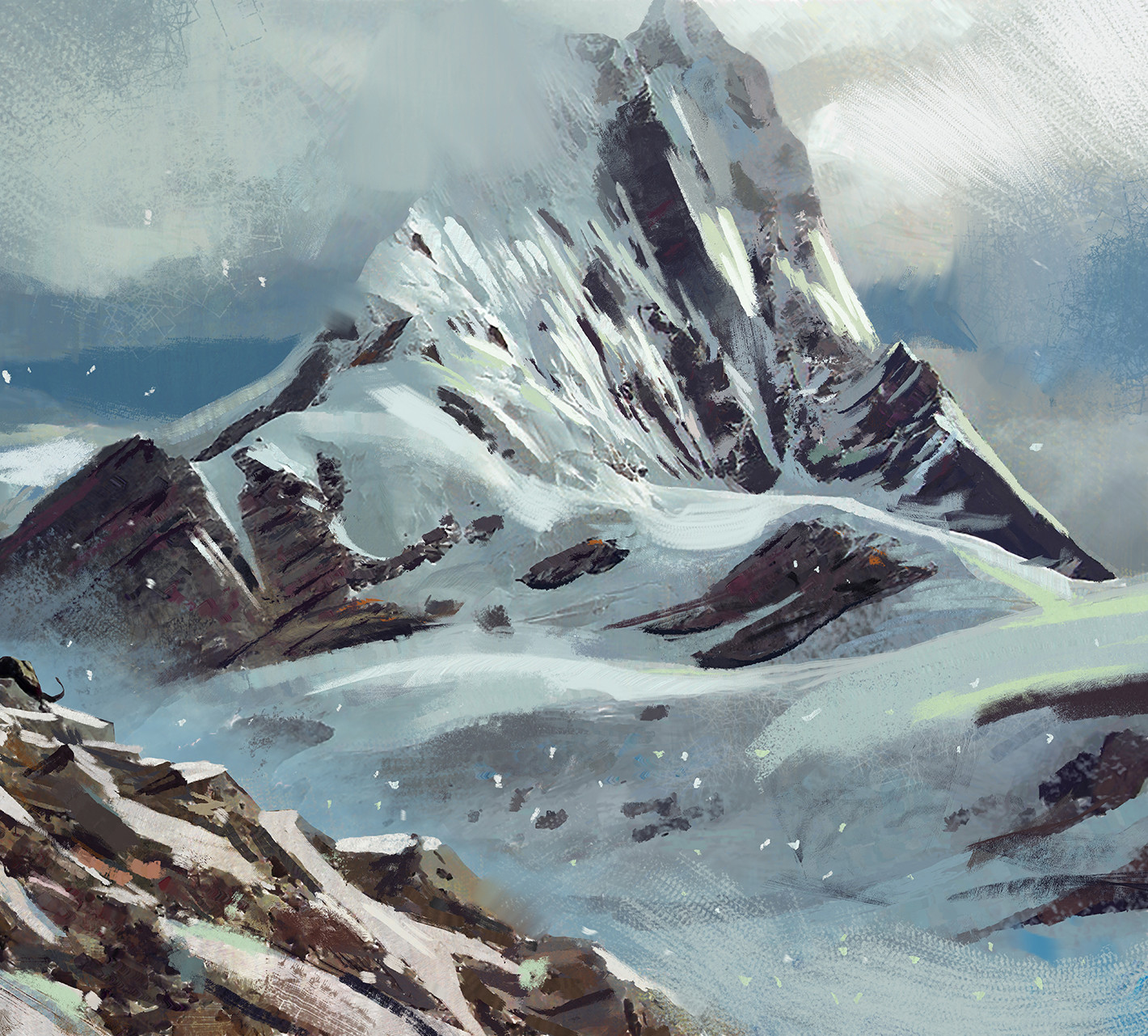 Jason Scheier - mountain yaks