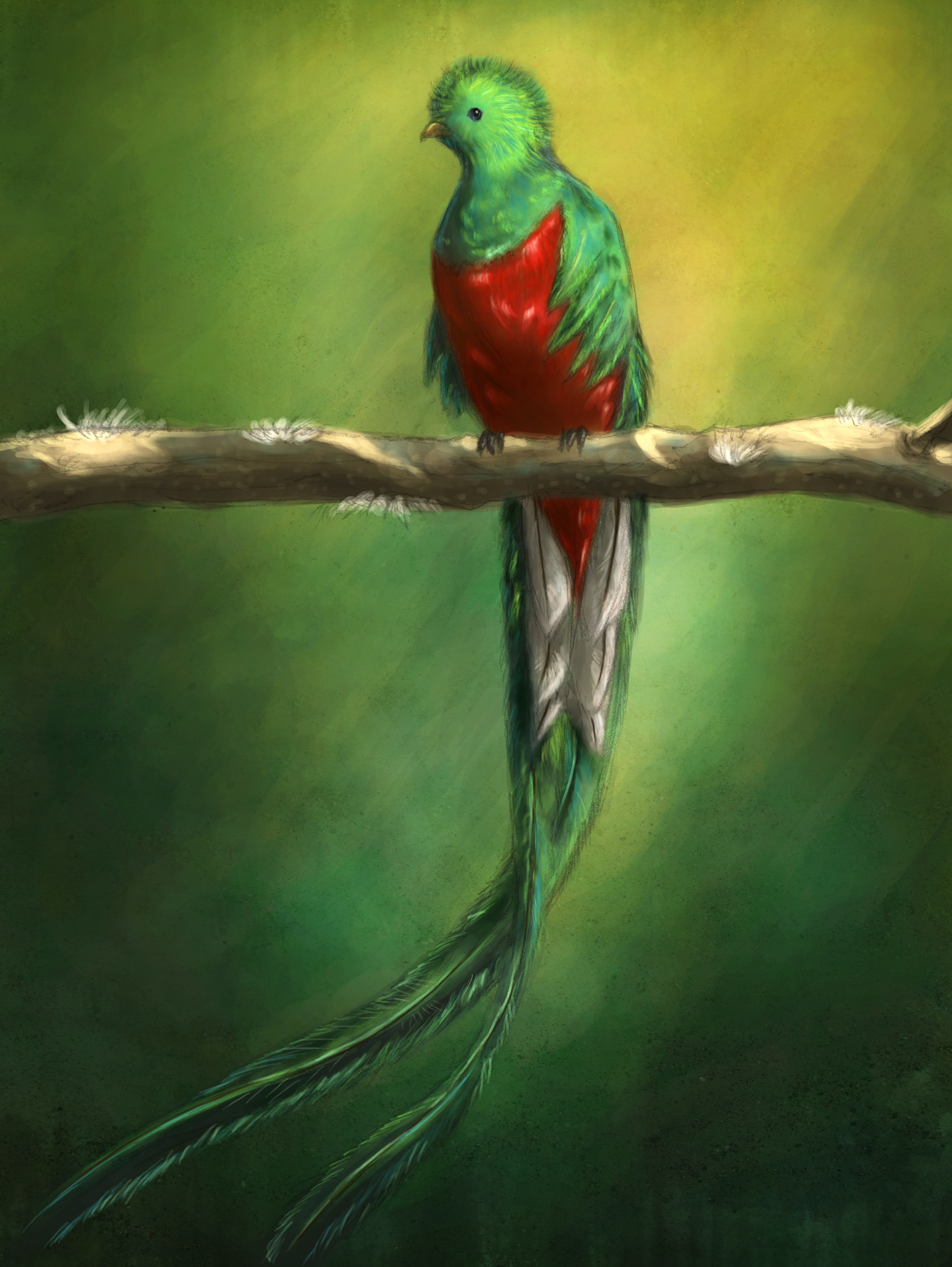 ArtStation - Quetzal