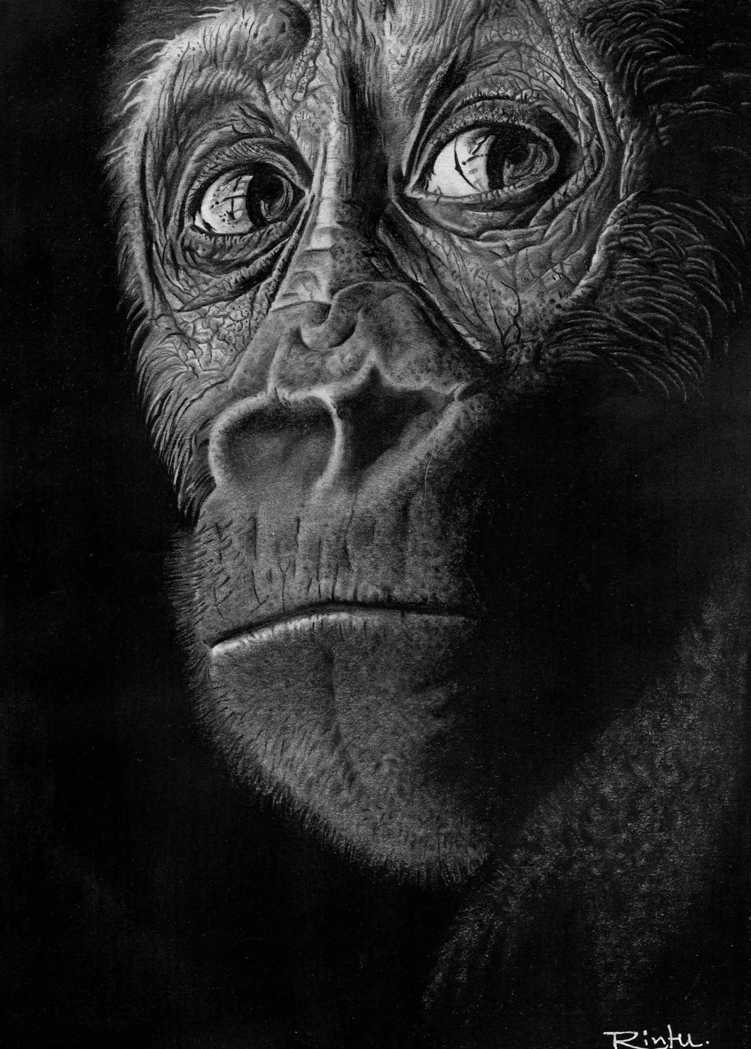 ArtStation - realistic work