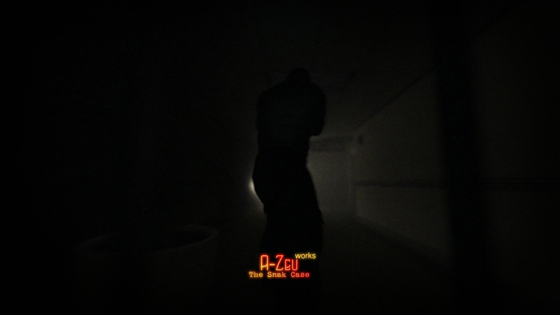 Sorin Stefan - The Snak Case