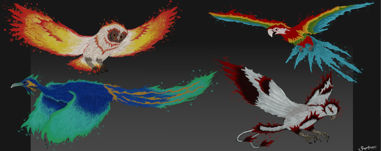 ArtStation - Fire Birds