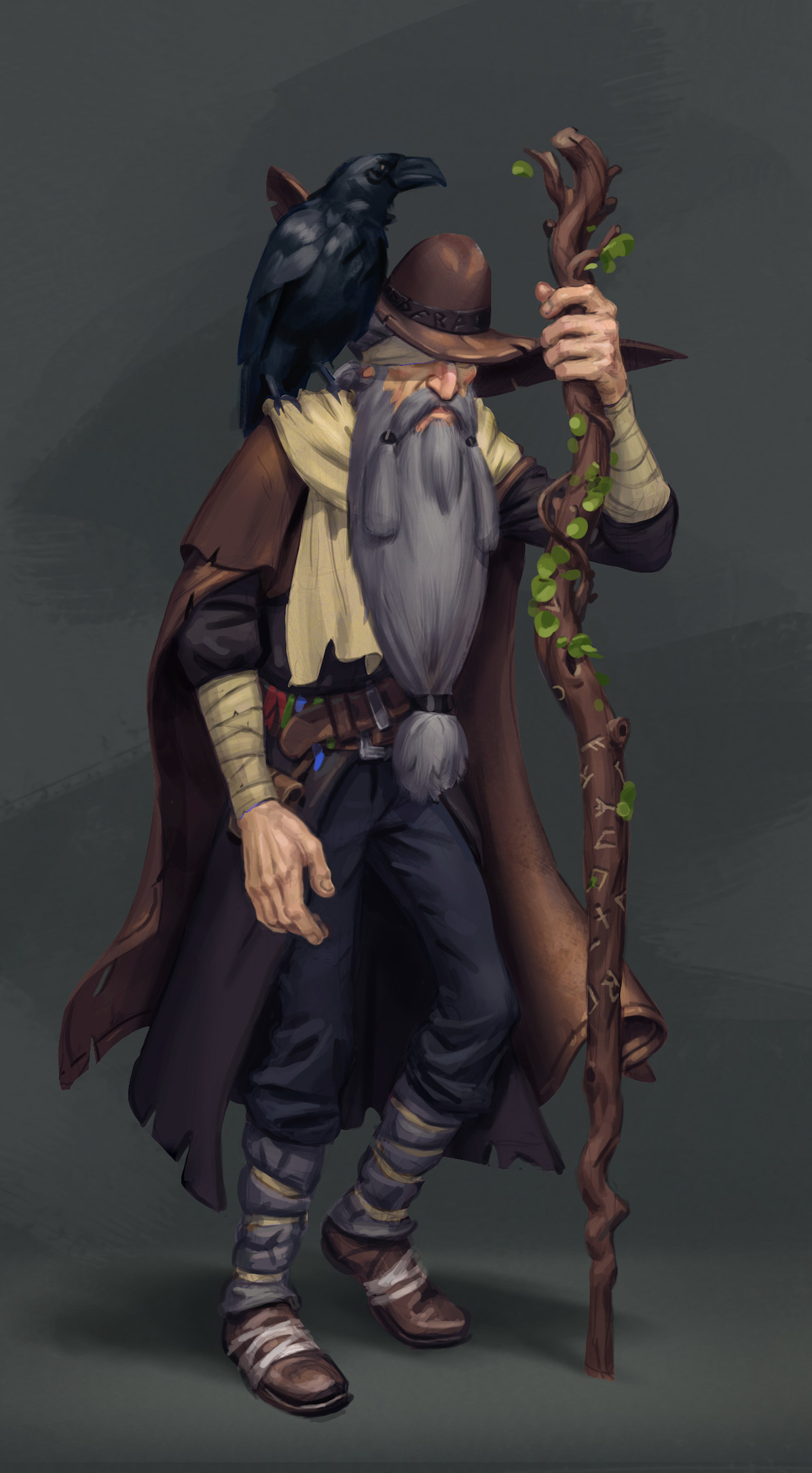 Odin The Wanderer by Joris Dewolf : r/ImaginaryCharacters