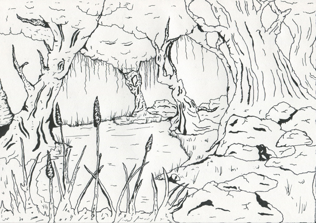 Swamps Drawing