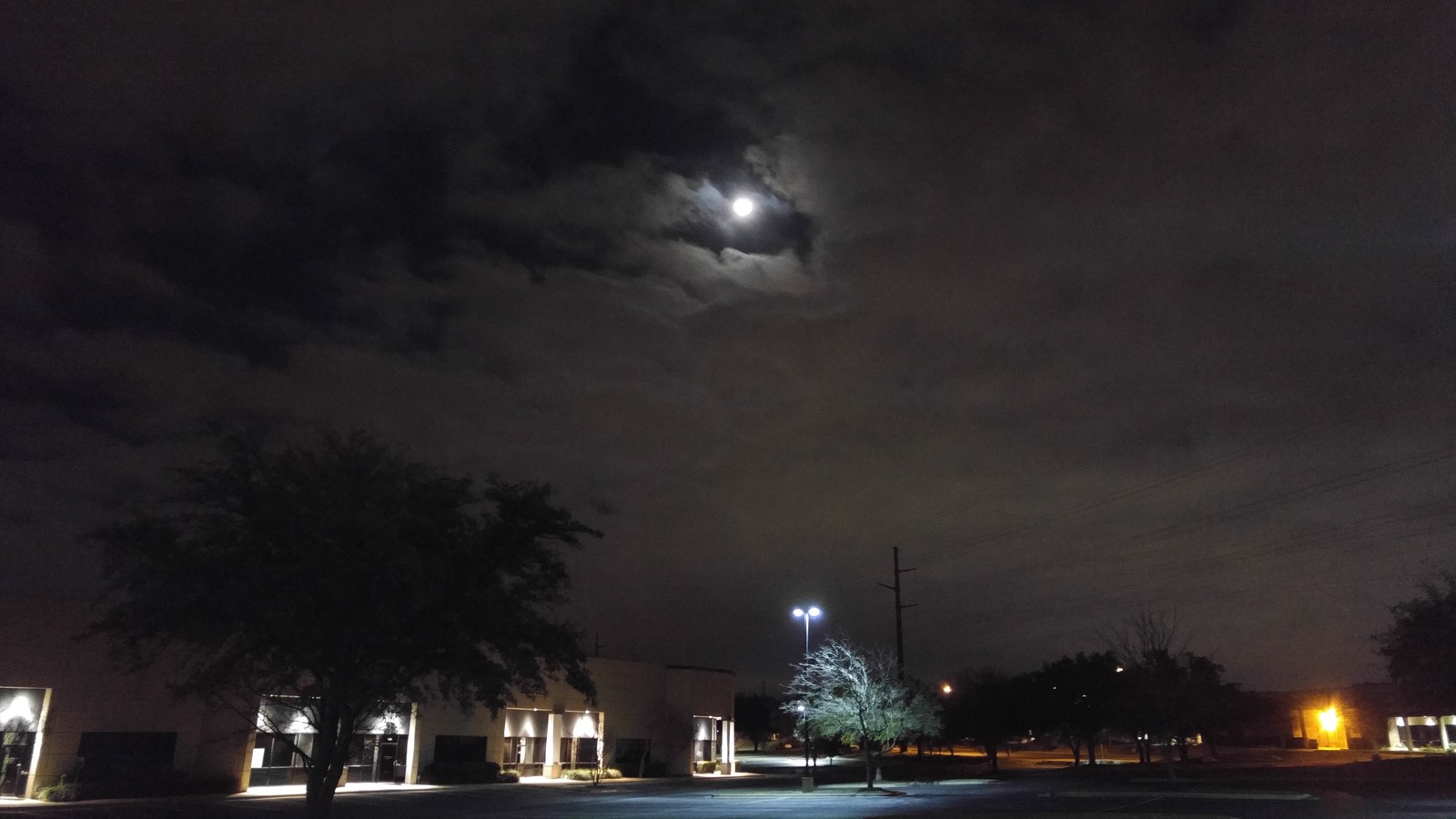 Amelia Greiner - Personal Photography