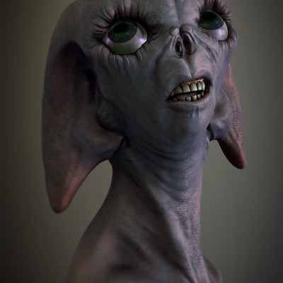 Stephen Jeal - Portfolio