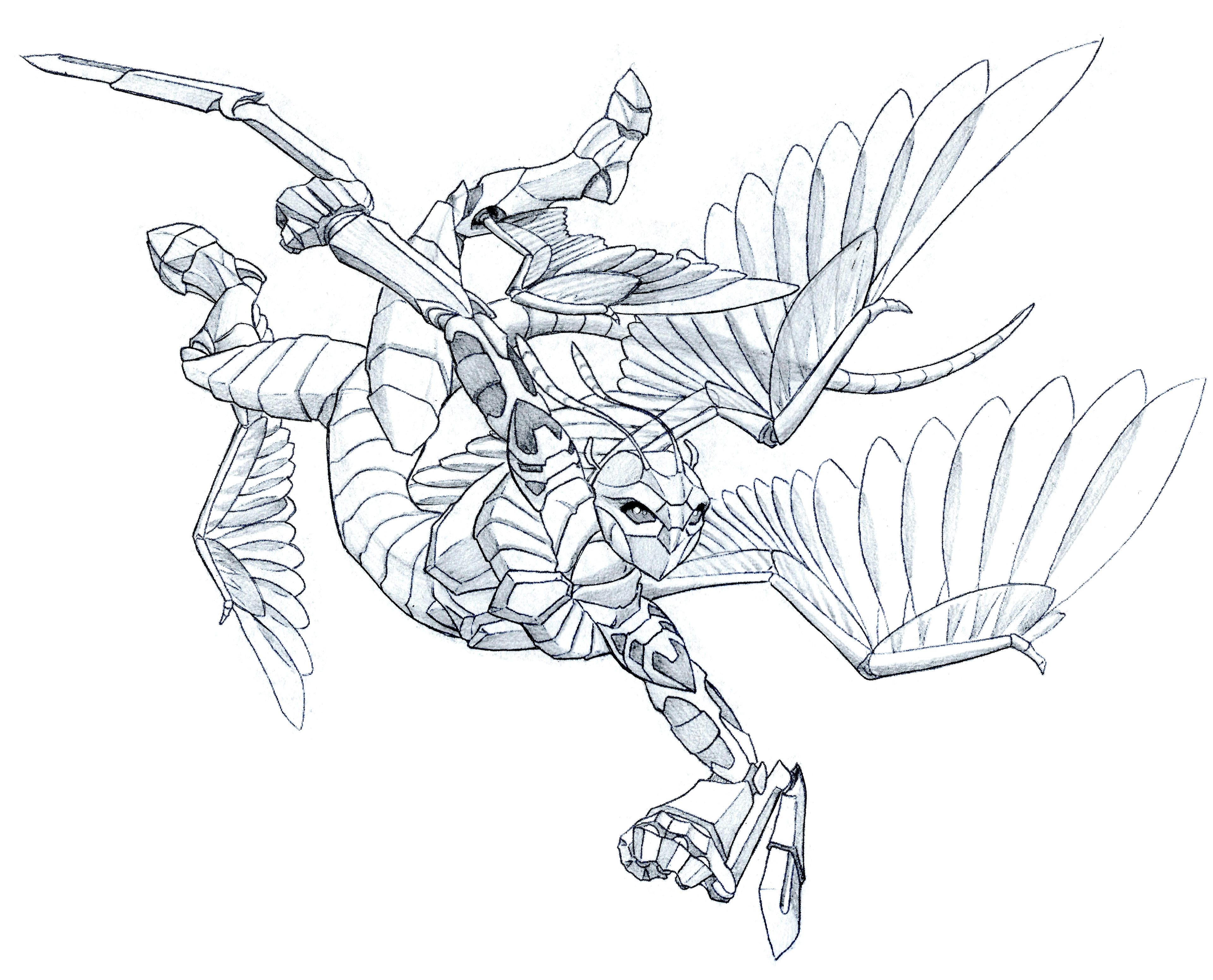 leviathan coloring sheet