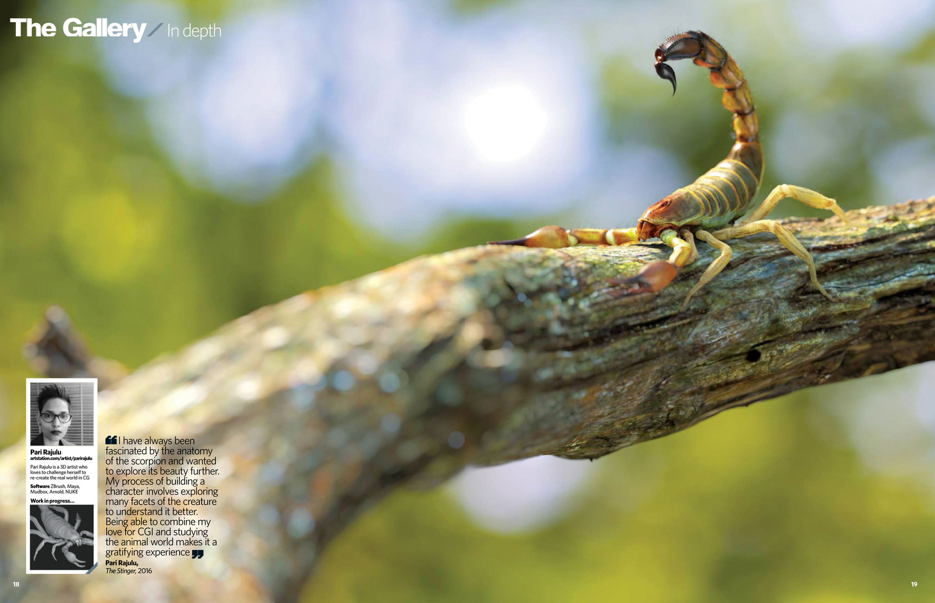 Pari Rajulu - the Stinger