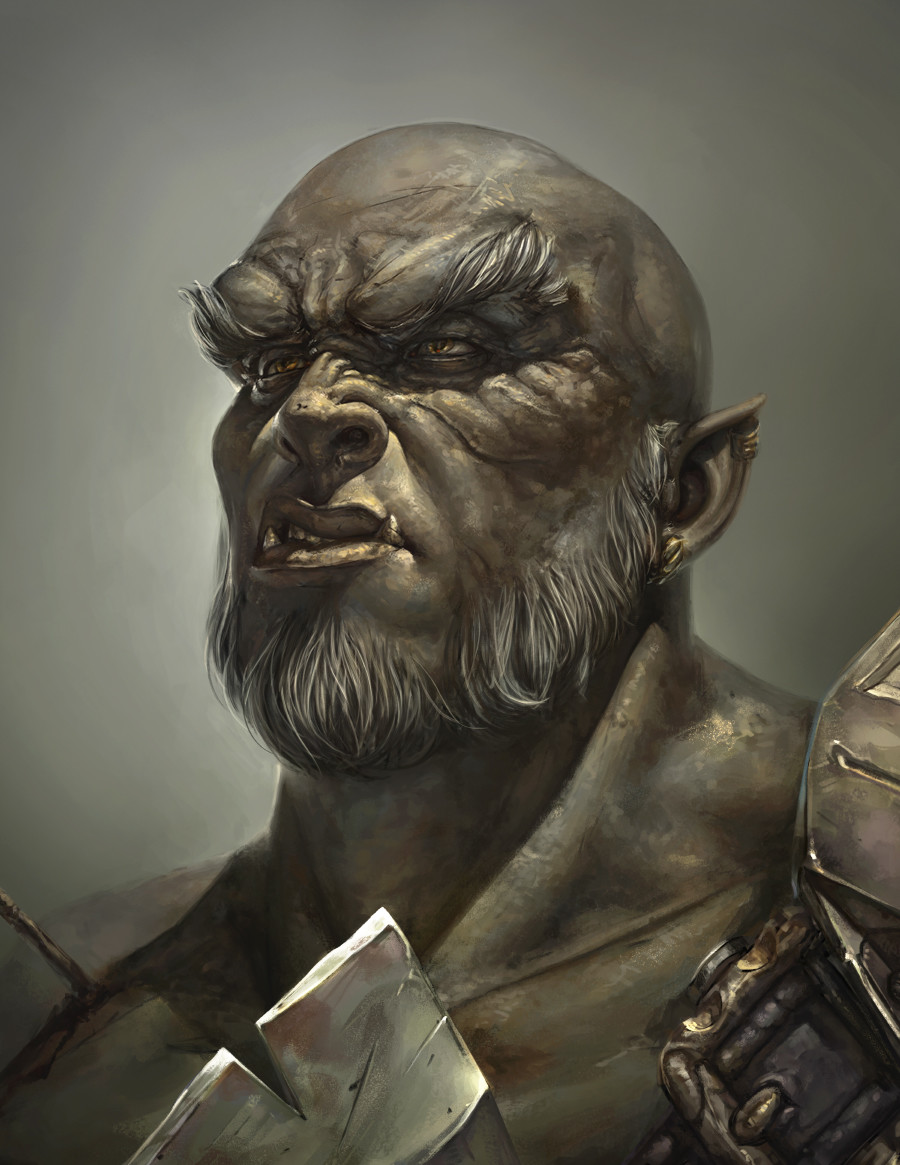 4688 best Orc Warrior images on Pholder | Transmogrification, Wow and ...