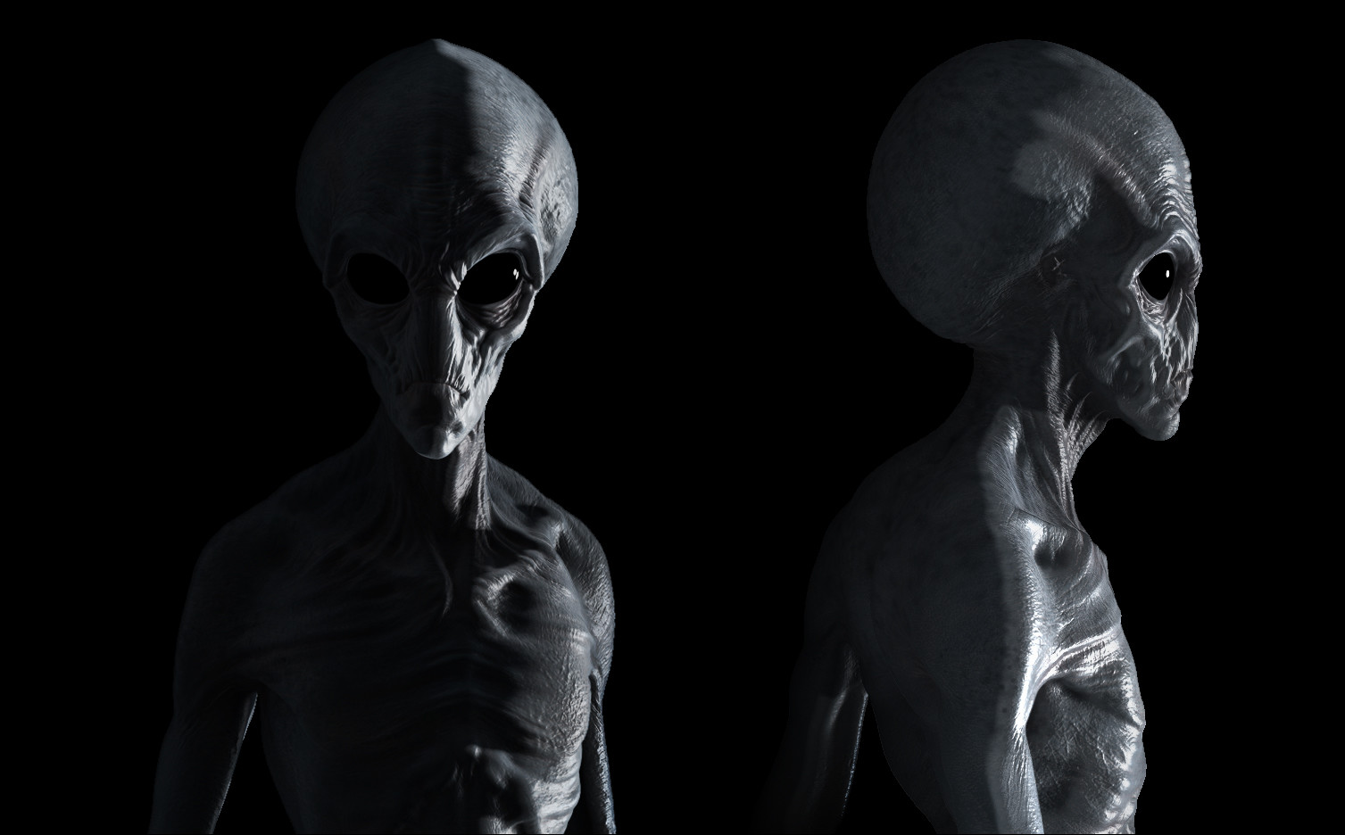 Jack Nesbit - Grey Alien - 3D Model