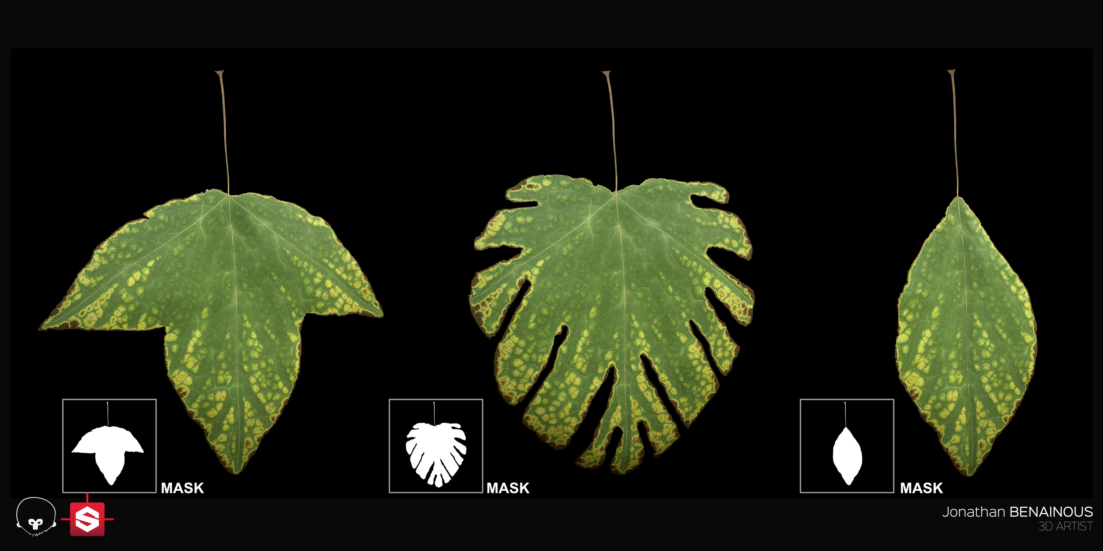 Jonathan BENAINOUS - Procedural Leaf Generator - Substance Designer - by Jonathan BENAINOUS