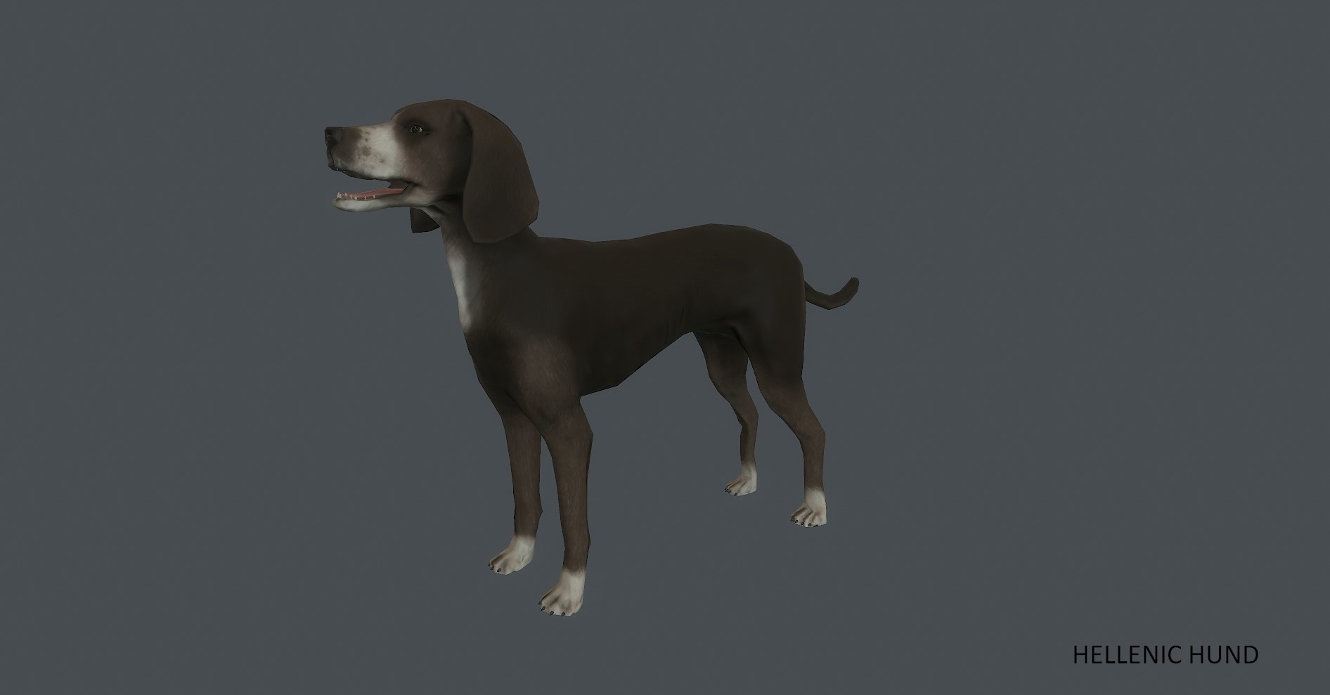 ArtStation - Animal pack deluxe