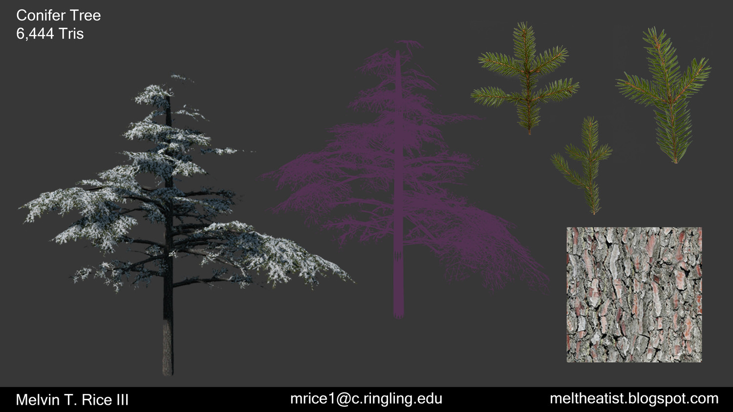 Melvin Rice - Taiga Biome