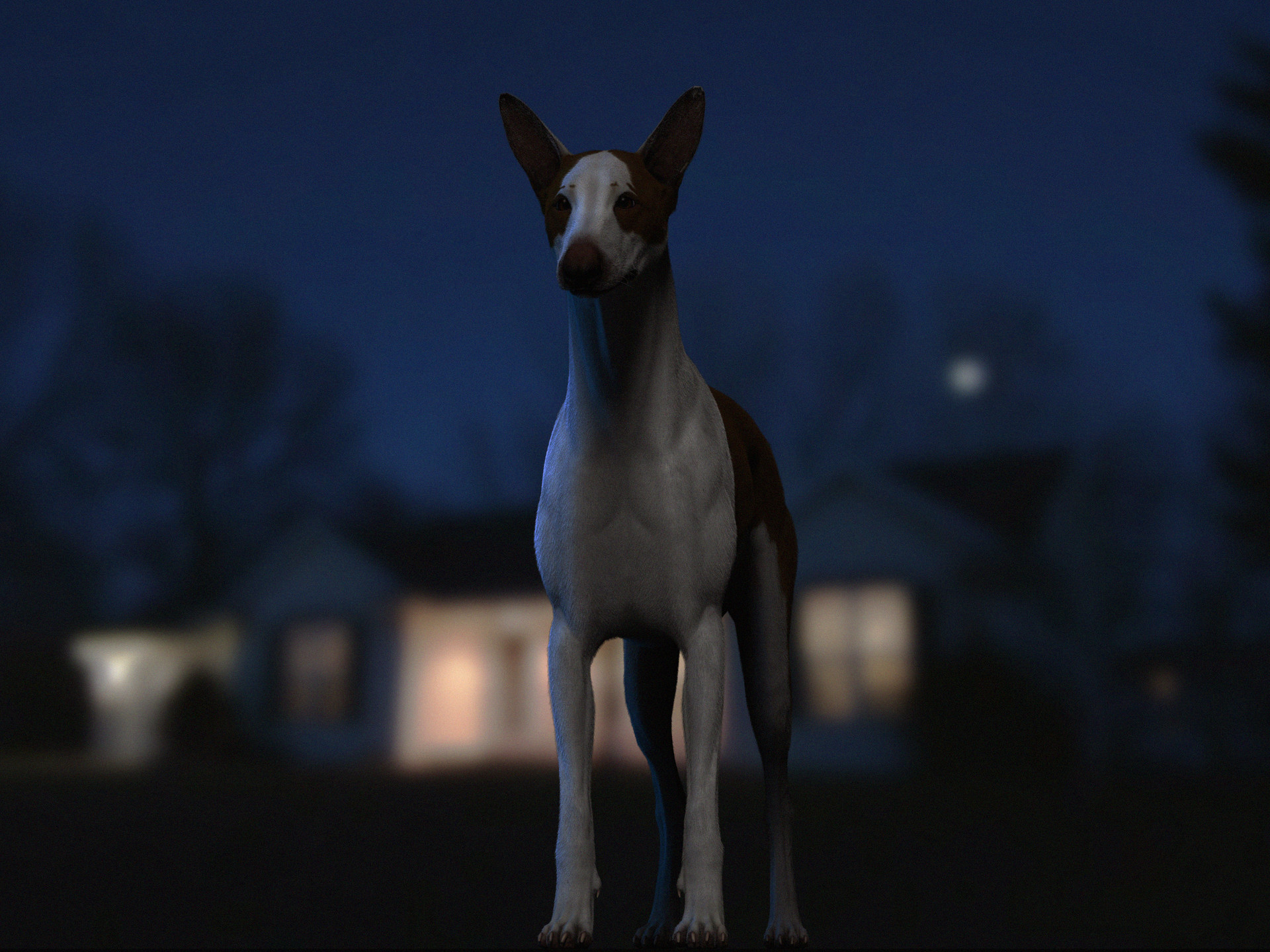 ArtStation - Greyhound WIP