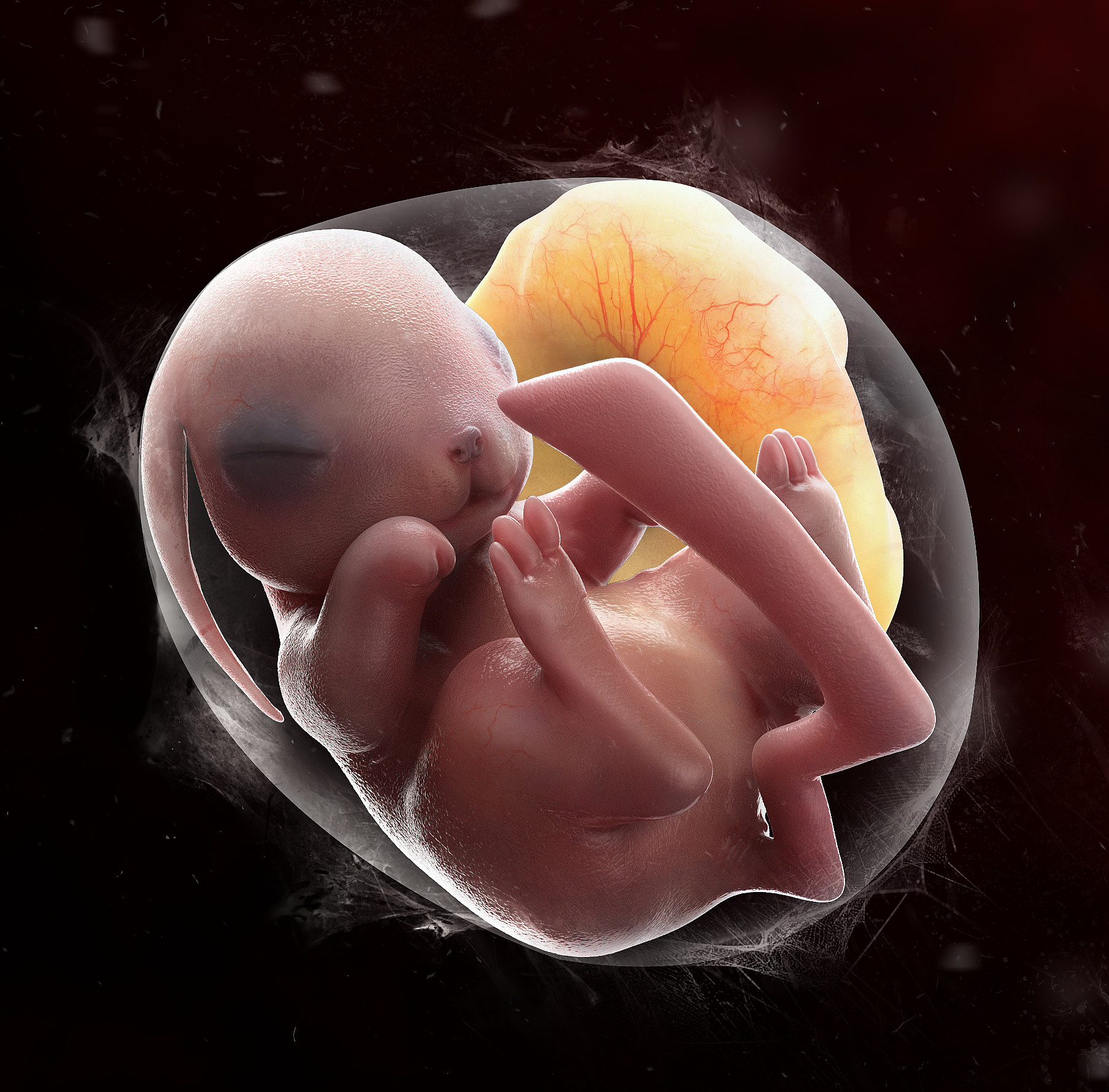 ArtStation - Pikachu embryo