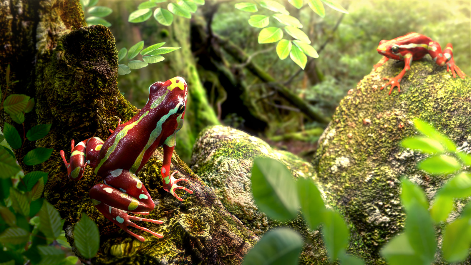 Anaïs Lejay - Phantasmal poison frog