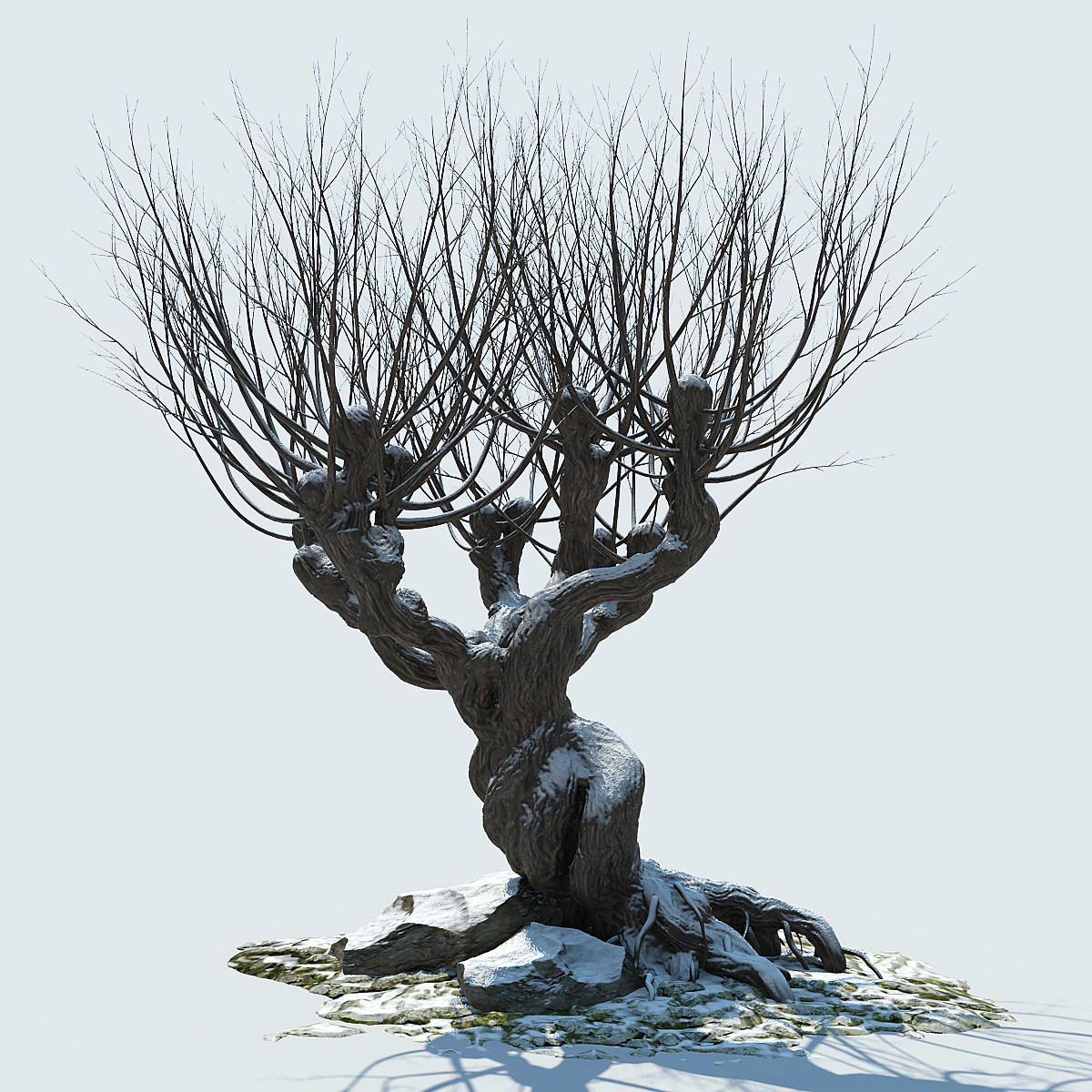 Harry Potter Whomping Willow