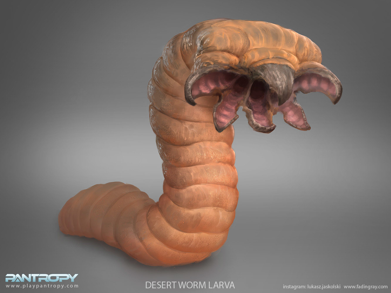 Desert Earthworm