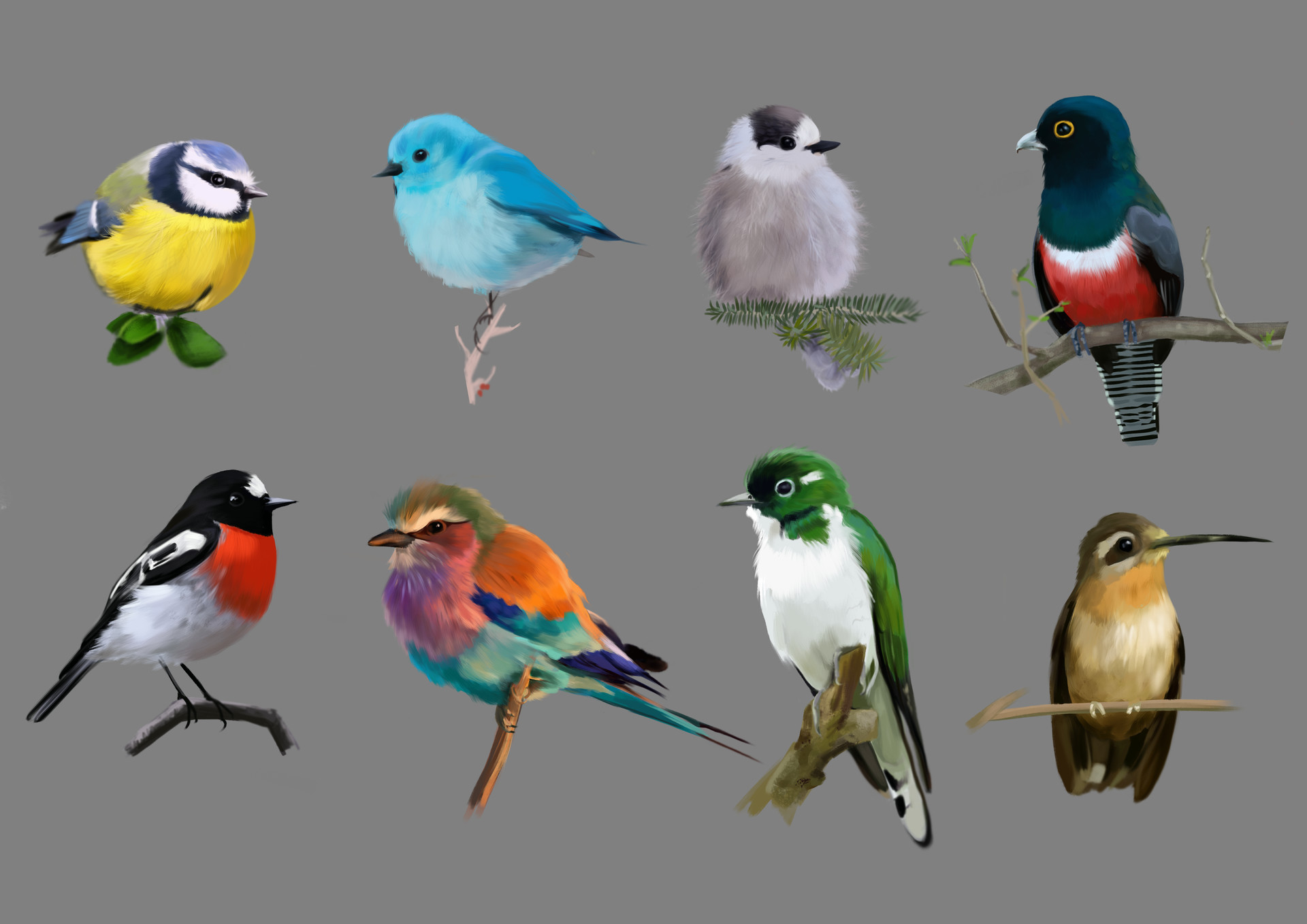 ArtStation - Birds color study