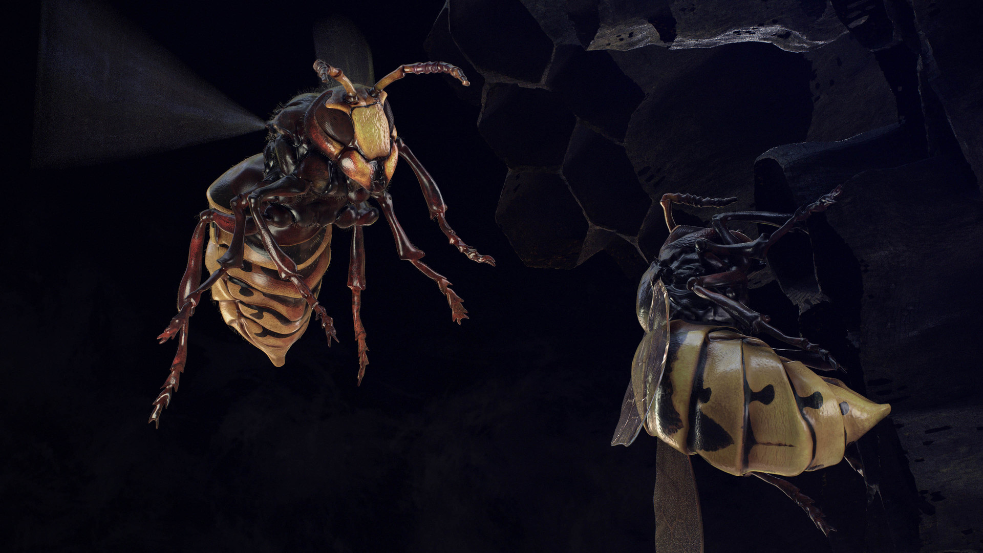 ArtStation - Organic Insect : Wasp