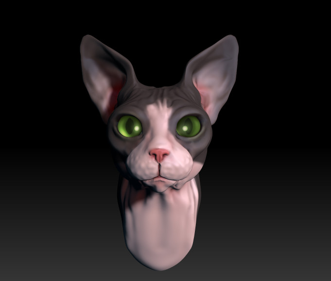 ArtStation - Sphynx cat