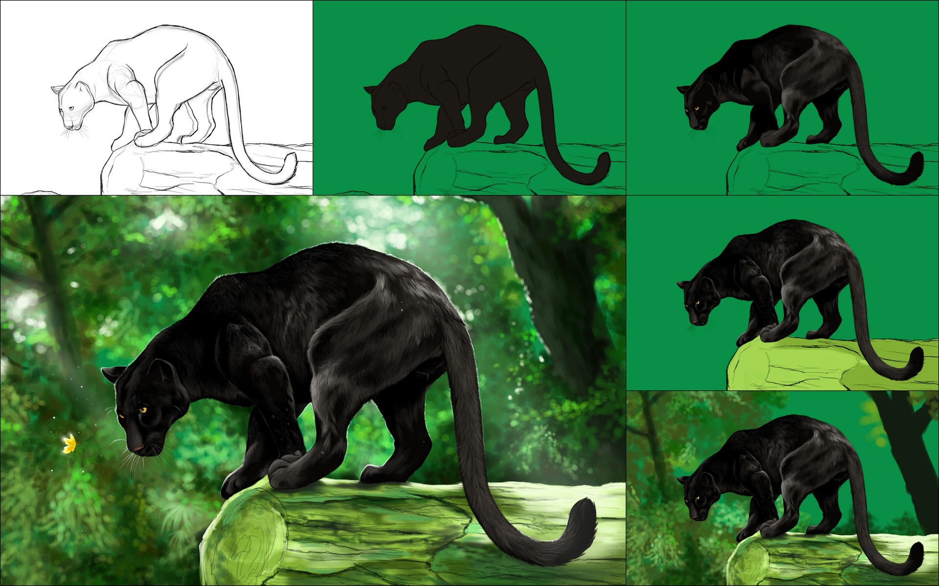 panther drawing reference