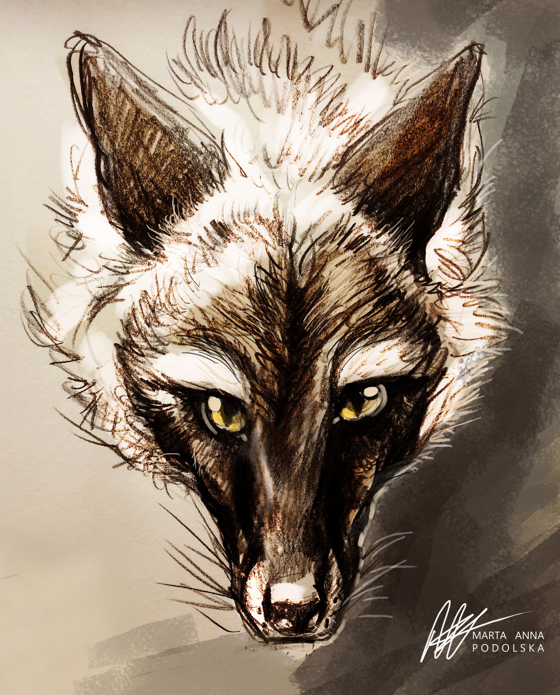 ArtStation - Fox Stare