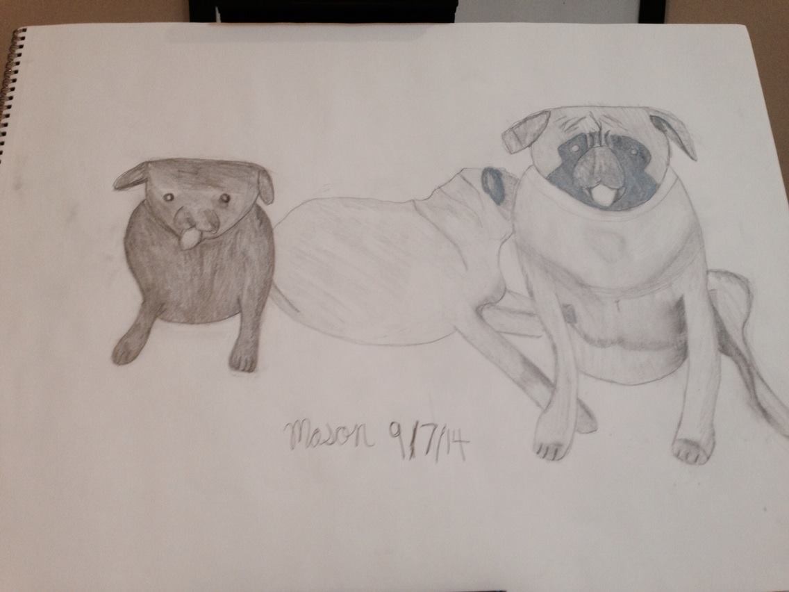 ArtStation - FreeHand Drawing Projects